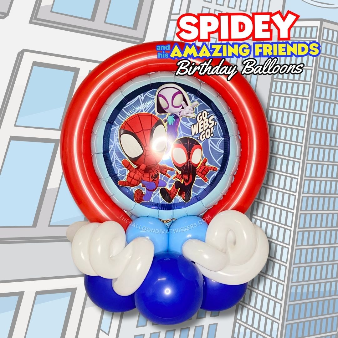 SPIDEY AND HIS AMAZING FRIENDS BIRTHDAY GIFT